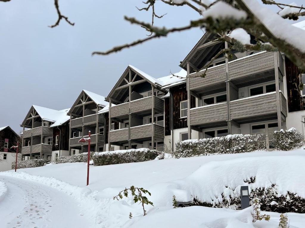 Upland Parcs Bergresidence - Wintersport-Arena Sauerland, Duitsland ...